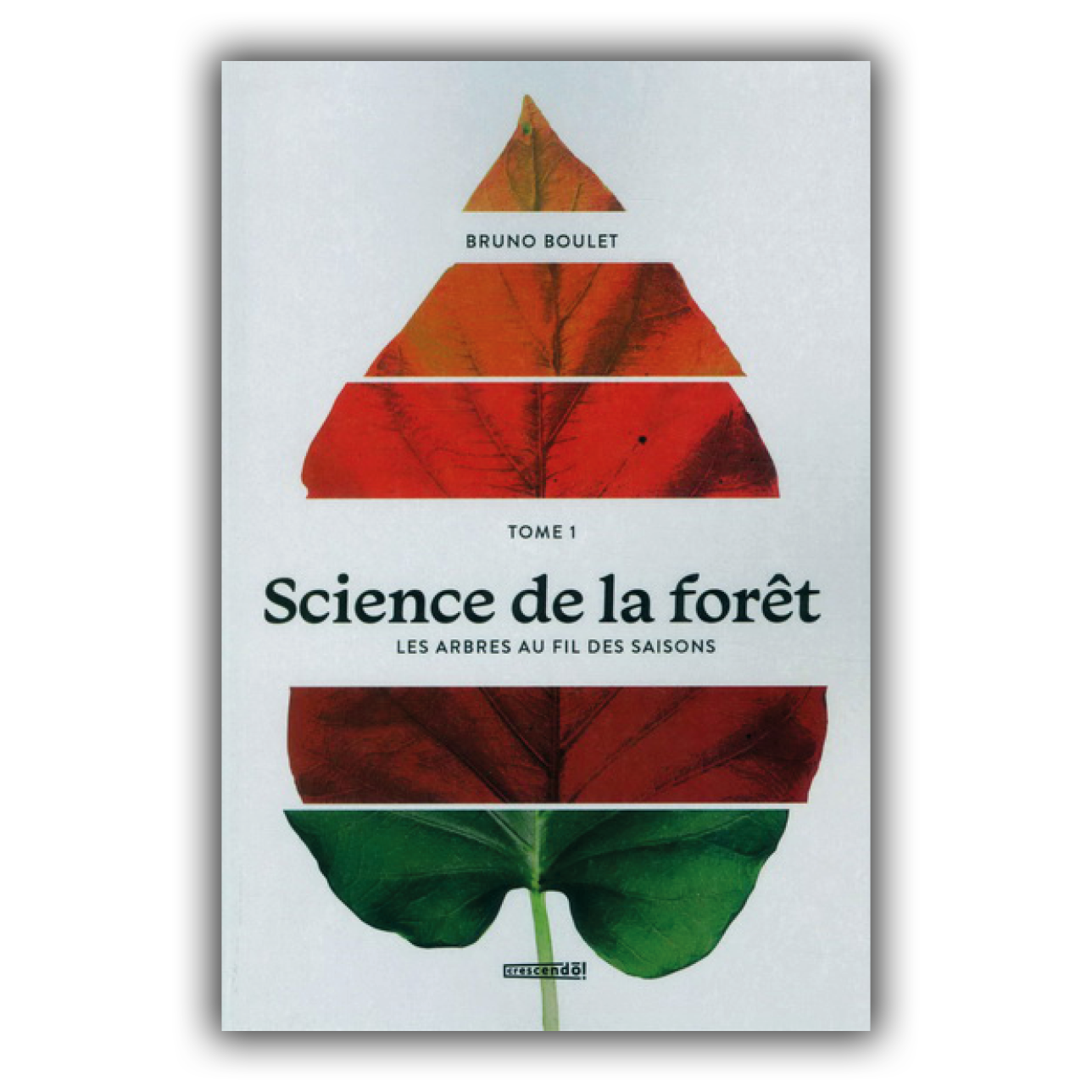 Science de la forêt T.01 Les arbres au fil des saisons - SIAQ - Société ...